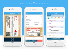 11 Best Freelance Brand Designers for Hire in Sept 2018 - Toptal®